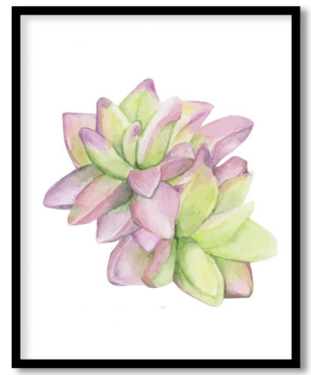 Succulent #13 watercolor painting - Framed Wall art, Ready to hang ...