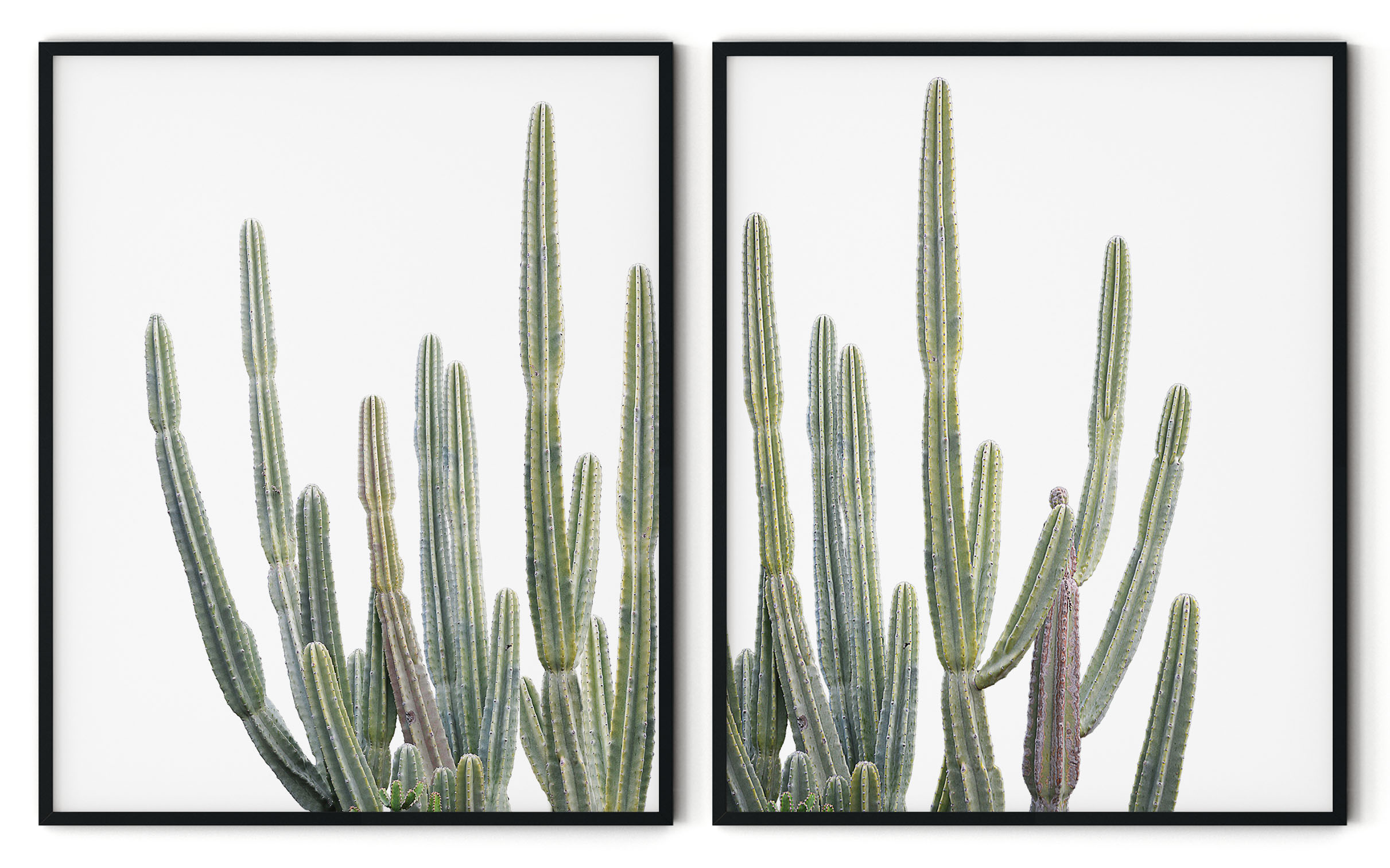 Cactus Framed Wall Art (Set of 2), Botanical Art, Nature Art, Modern ...