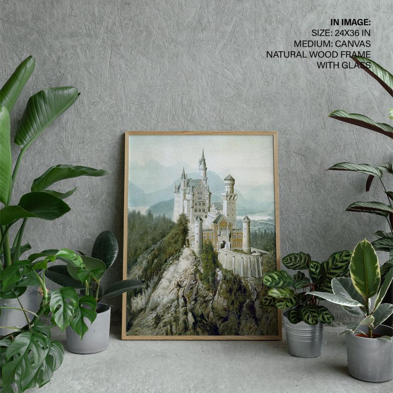 Neuschwanstein castle in upper bavaria by Adolf Hitler - Wall Art ...