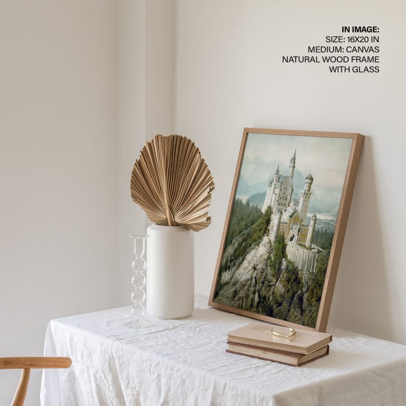 Neuschwanstein castle in upper bavaria by Adolf Hitler - Wall Art ...