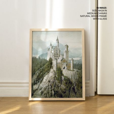Neuschwanstein castle in upper bavaria by Adolf Hitler - Wall Art ...