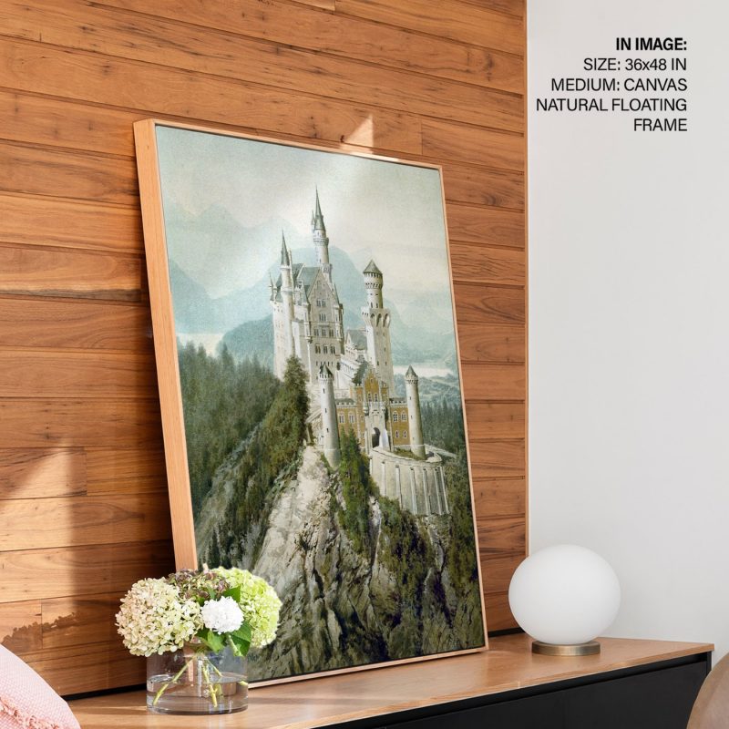 Neuschwanstein castle in upper bavaria by Adolf Hitler - Wall Art ...
